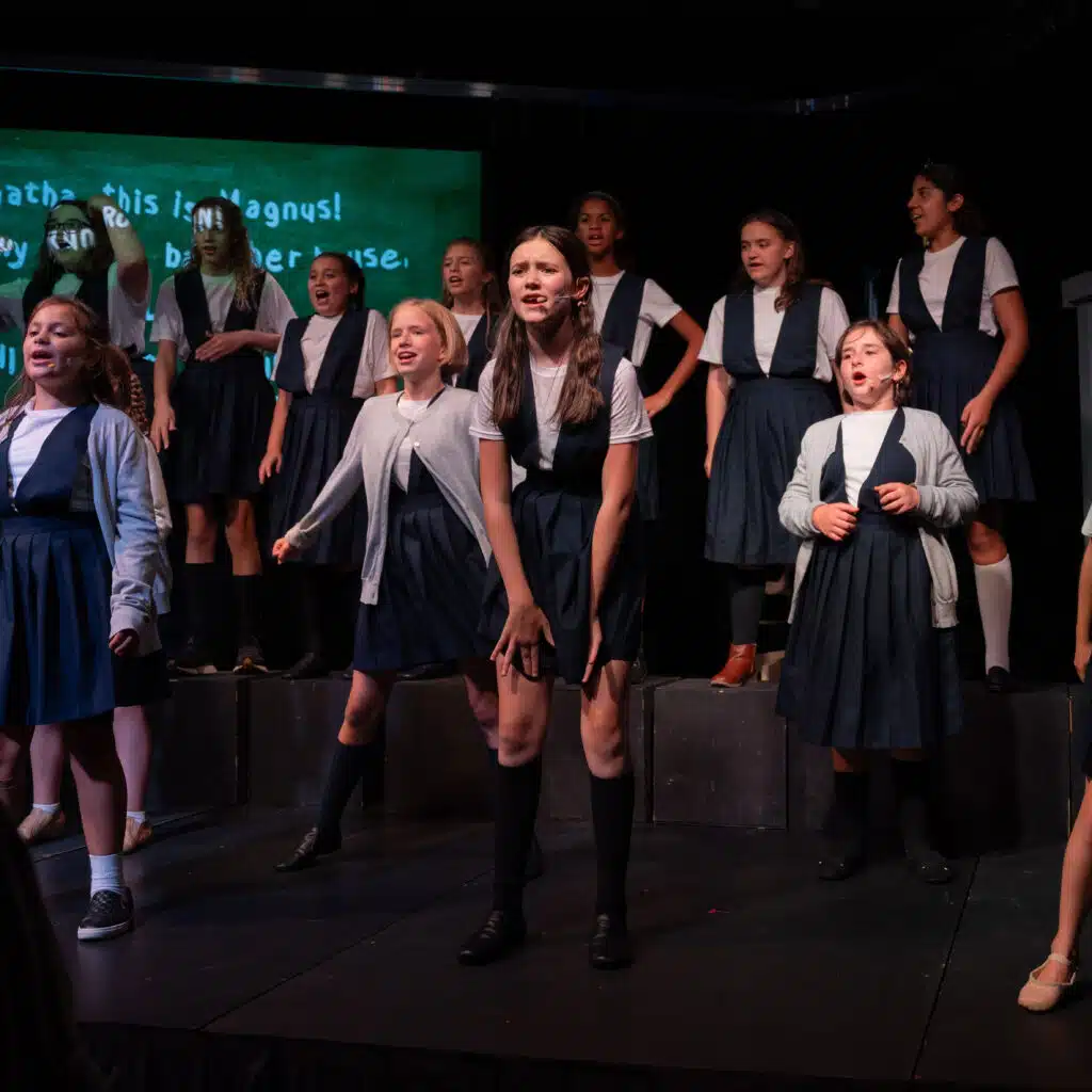 Theatre Classes by pros teach acting. Productions are presented